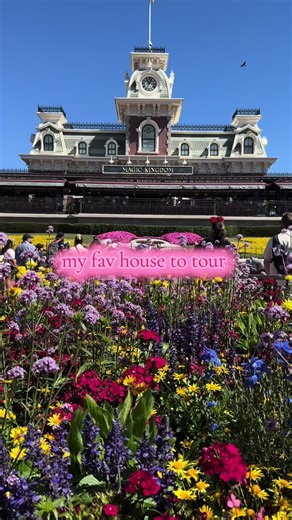 Now if only we could tour the castle 🤔 #magickingdom #animalkingdom #epcot #hollywoodstudios #disney