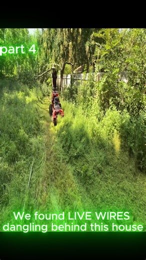 #lawn #lawncare #clean #cleantok #mowing