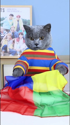 Cat vs. Spiderman: Epic Magic Trick Showdown