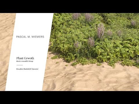 HOUDINI TUTORIAL: Plant Growth Setup (Redshift & Quixel Megascans)