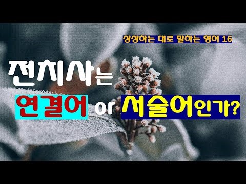 Are prepositions connectives or predicates? #Easy and accurate English usage strategies!