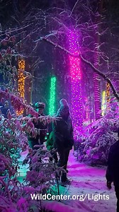 5.5K views · 144 reactions | Scenes from Wild Lights opening weekend ✨ Wild Lights is now open Fridays and Saturdays from 5 pm to 8 pm. | The Wild Center | Facebook