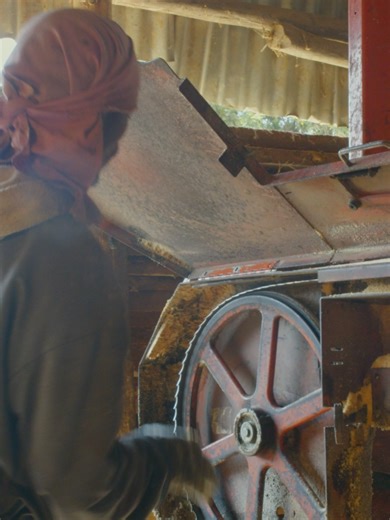 የሃገር ውስጥ በበቀሉ ልዩ የእንጨት አይነቶች ለሞራሌ ጣውላና ለመሳሰሉት ፍላጎትዎ በ 10 ሺህ ካሬ በተንጣለለው ማምረቻችን ፍላጎትዎን በቀላሉ ልናሟላ ተዘጋጅተናል ምን ይጠብቃሉ ሃሎ #963347181 በሉን #PrimeTimber #BuiltToLast #Since1987 #MDF #Plywood #Construction #Furniture