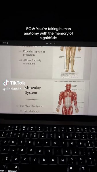 Funny Human Anatomy Moments in Class