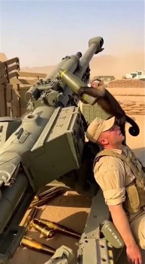 Monkey Sparks Panic — Dummy Rocket Fires During Forest Training Exercise