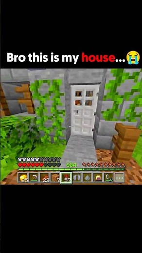 Leave me bro...😭 #minecraft
