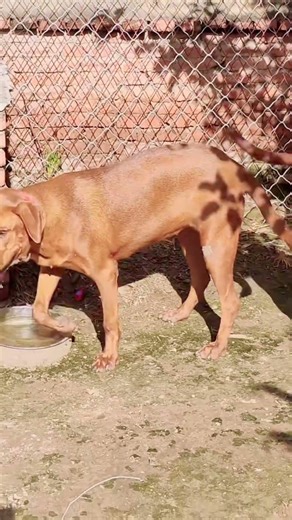 The best coffee is the coffee you personally like@ 7