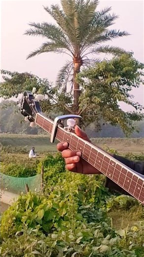 তোমারে দেখিবার মনে চাই #banjo #ukulele #tutorial