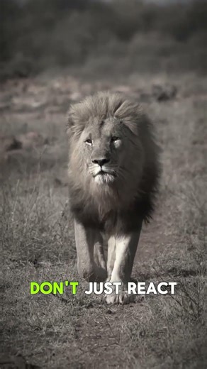 10 mindset shifts that will transform your life