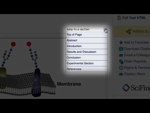 ACS Publications Article Features