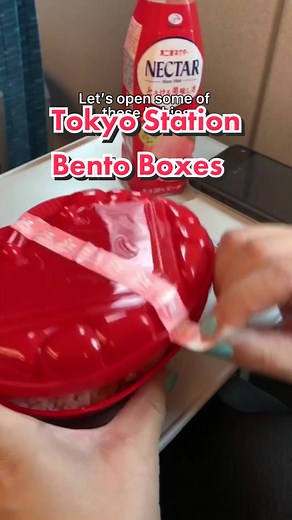 Exploring Tokyo Station Bento Boxes: A Culinary Adventure in Japan