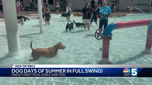 Dogs take over Maple Street pool in Essex Junction