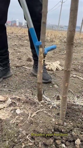 Tree planting pole operation test