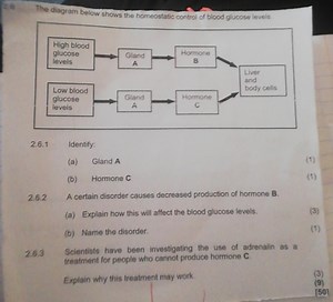The diagram below shows the homeostatic control of blood glucos... | Filo