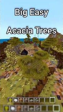 Big Easy Acacia Trees #minecraft #Tree #tutorial