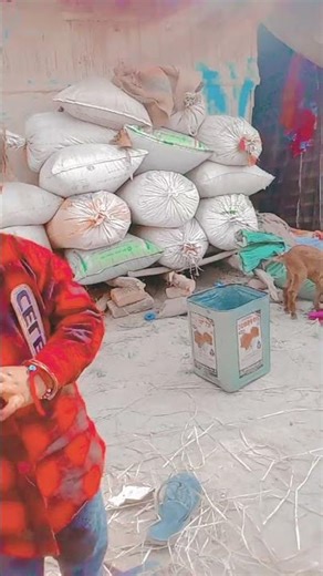 🌹🌹🙏🙏🙏🙏