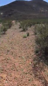 11K views · 173 reactions | One step closer!!! Tin Valley’s RV “Pull Thru” Campsites should be ready to go in another 2 weeks. | Tin Valley Retro Rentals | Facebook