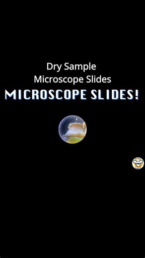 San Diego LabRats on Instagram: "🔬 How to Make a Dry Microscope Slide (Step-by-Step) In this reel, Mr. Chris and Adora show how to create a simple dry mount slide—one of the easiest ways to explore the microscopic world. What you’ll need: • A microscope slide • A cover slip • A small, dry specimen (leaf, hair, salt, sand, insect wing, etc.) • Tweezers (optional) Steps: 1️⃣ Place a tiny dry specimen in the center of the slide. 2️⃣ Carefully lower the cover slip over the specimen to keep it flat 