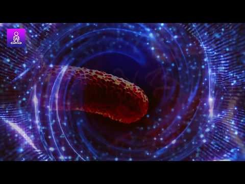 Increase Appetite Subliminal: Music for Hunger and Low Appetite