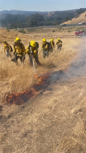 35K reactions · 616 shares | Day 2 with the Marin County Fire Department Wildland Academy and SMFD Engine 607 crew worked with the Marin County Fire’s season firefighters on prescribed burns. These controlled burns not only help keep firefighters on top of their game with attack but it’s also helping to reduce the spread of a natural vegetation fire by creating a fuel break buffer. Check out the video! | Southern Marin Fire District | Facebook