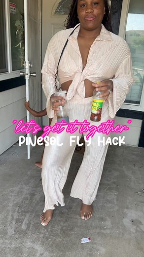 605K views · 17K reactions | Does the Pinesol fly hack actually work? #pinesol #hacks #flies #summerhacks #momlife | Briana Richardson | Facebook