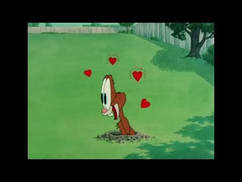 Garden Gopher (1950) HBO Max Restored Opening&Closing