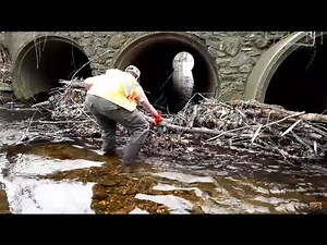 Clearing a Massive Clog Buildup on River Culverts