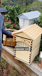 Ready to dive into the world of bees? 🐝✨ Our Beekeeping Starter Bundle has everything you need to begin your journey—from hive to honey. Whether you're a curious beginner or a future backyard beekeeper, this bundle makes it simple to get started. Learn, grow, and experience the magic of bees—right from your own garden! 🌼🍯 https://www.honeyflow.com/products/starter-bundle #flowhive #beekeeping #starterbundle | Flow Hive