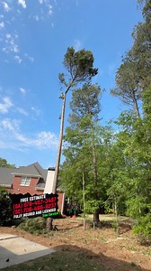 👷‍♂️Tree Service 📍Loganville, Georgia 🗣️Call us right now and get a #freeestimate ☎️(678) 457-3487 {GA} ☎️(706) 496-9237 {SC} ✅Fully Insured ✅licensed . . . #treeservice #arborist #treework #treeremoval #treecare #treelife #treesurgeon #trees #arblife #stihl #tree #chainsaw #treeclimber #treeclimbing #arboriculture #treecutting #arboristlife #treebiz #treefelling #logger #treetrimming #logging #treeworker #arboristsofinstagram #treesurgery #stihlchainsaw #forestry #treestuff #loggers | Jireh 