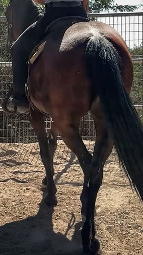 3.9K views · 157 reactions | Brandy is currently learning to...