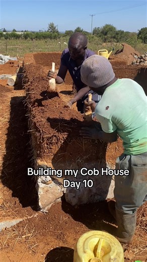 Building My Cob House: Day 10 Progress Update