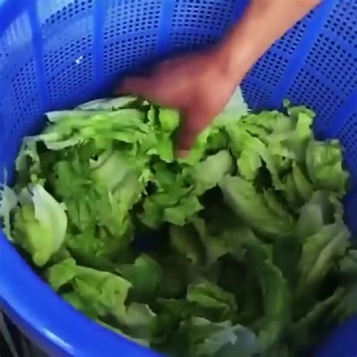 Industrial Vegetable Dryer and Spin Dryer Machine for Centrifugal Dewatering Lettuce Cabbage and Leaf