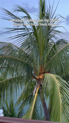 Relaxed, Calm & Quiet Luxury ✨ at Grand Beach Hotel Bay Harbor | Ruby Red