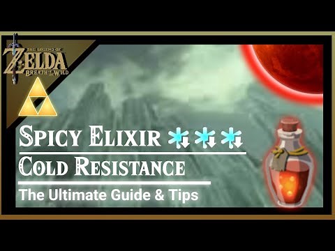 Spicy Elixir for Cold Resistance - Best Elixir Ingredients - Zelda: Breath of The Wild