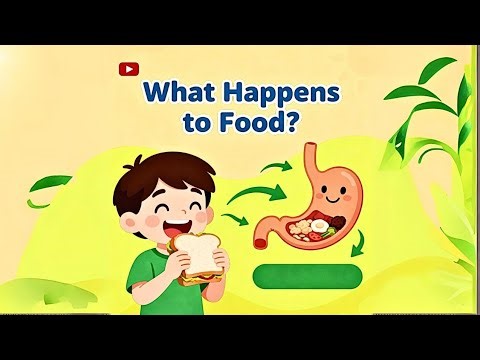 How Digestion Works 🤔 | Fun Science for Kids!- Kidzery Channel