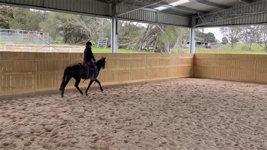 Vixen (riding pony mare being started) had her first experience of riding in the arena with other horses today and she did very well! | G.C. Natural Horsemanship