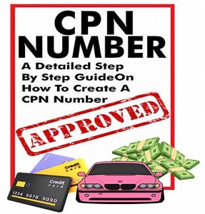 How to Create A CPN Ebook AND Video Step by Step, Cpn, Diy Cpn Guide, Tradelines - Etsy