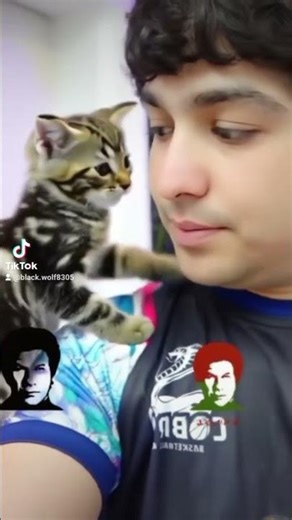 virtual reality headset video Mini