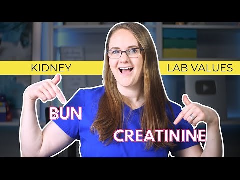 What is a BUN Creatinine Ratio? (Lab Values Series)