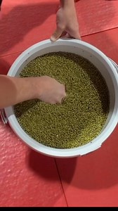 🤚🌀💪 Traditional hand conditioning. Build stronger tendons in your hands and strengthen your forearms with this classic exercise. Iron Palm training often follows the ☯️ principle of hard & soft training. Hard improves impact conditioning while soft toughens the skin, tendons, and forearms. Practice until failure then alternate hands 30-60 minutes. #determination #Kungfu #ironpalm #gripstrength #martialarts #makiwara #heavyhands | David Welther