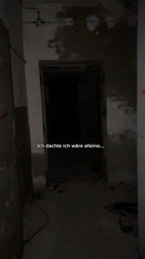 GEH NIEMALS ALLEINE IN DIESES KRAFTWERK! 🚫🏭