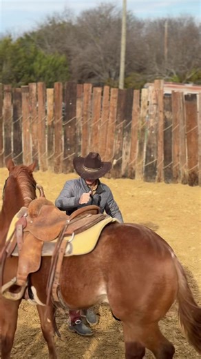 Preparing for My First Ride on a Colt