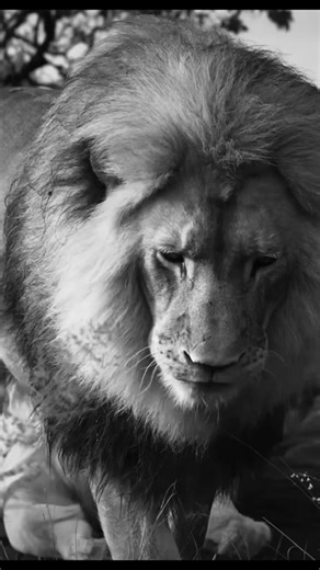 Embrace Life's Lessons: Motivation and Reflections for a Happy Life