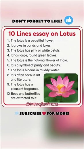 10 Lines Essay on Lotus | 10 Lines Easy Essay on Lotus | Few Lines Essay on Lotus