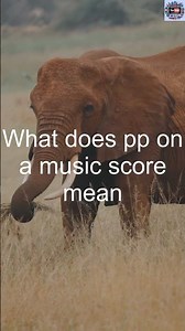 What does pp on a music score mean #triviaquizquestions