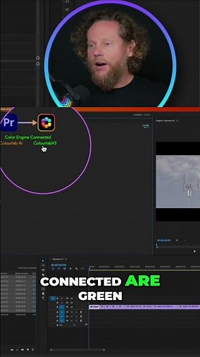 AI Color Grading - Premiere, Resolve, FCPX