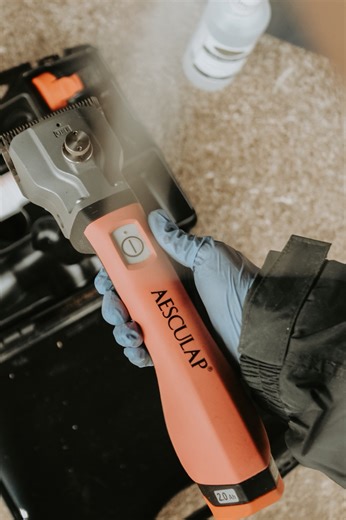 (ad - gifted) Huge thank you to Clippersharp Kerbl UK and Aesculap Clippers for the opportunity to give these clippers a whirl ✂️ I’m a creature of habit and generally use the same clippers all the time so a new pair of clippers with a whole new tension system I’m not familiar with was quite daunting. After a quick tutorial video I was ready to roll and I must admit, I was so surprised how lightweight and easy they were to hold in the hand. Us clippers’ arms, hands and back take a beasting daily