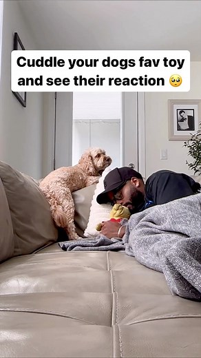 Luna The Mini Cockapoo | It’s the head nod like “yea, that’s it” at the end for me 😳❤️ #puppylove #doglover #cockapoo | Instagram