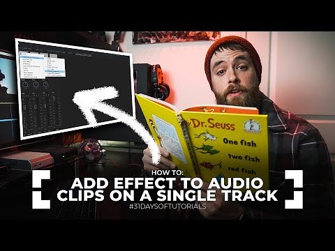 How to add effects to multiple audio clips on a single track in Premiere Pro