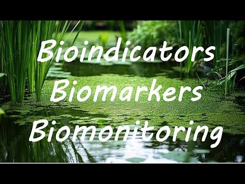Biomonitoring | Bioindicators | Biomarkers